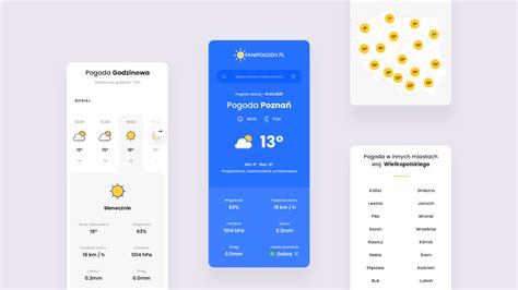 Projektowanie Aplikacji Desktopowej Webmetric Agencja UX