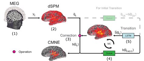 Figure 1 From Contextual Meg And Eeg Source Estimates Using Spatiotemporal Lstm Networks
