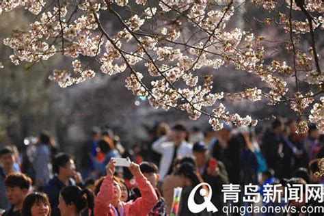 健身房、影音室海大西海岸校区一期学生宿舍了解一下 青岛新闻网