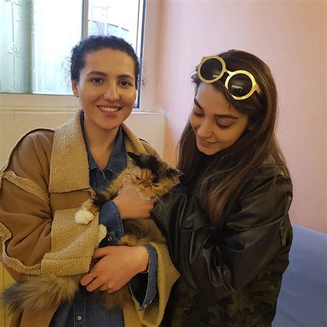 بچه گربه های خاص و لاکچری On Tumblr