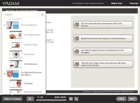 How To Create A Non Linear Powerpoint Presentation