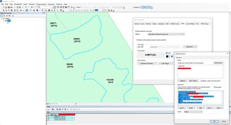 Arcgis Desktop Using Python To Label Points With Format Dependent On
