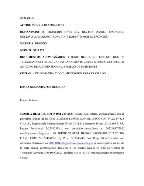 Demanda Loto Sumario Actor Monica Beatriz Loto Demandado R