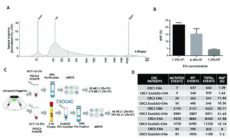 Analysis Of Point Mutations By Droplet Digital Pcr Ddpcr In Dna From Download Scientific