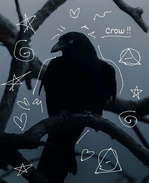 Crow Crowcore Trinkets Nature I 2025