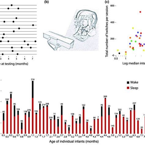 A Infants Age At Each Sleep Session By Sex Each Row Represents One Download Scientific