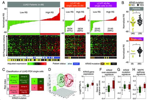 Identification Of PDX Cell Subclones Using Single Cell RNA Seq Data A Download Scientific