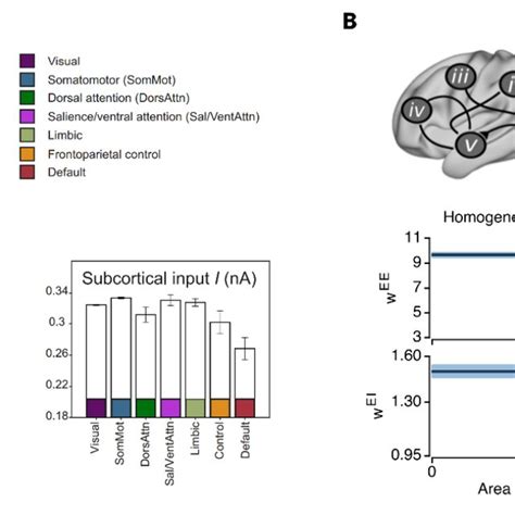 Scales Of Brain Organization In Multiscale Connectomic Modeling Top