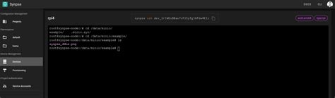 Setting Up A Minio S3 Alternative For Object Storage On The Edge