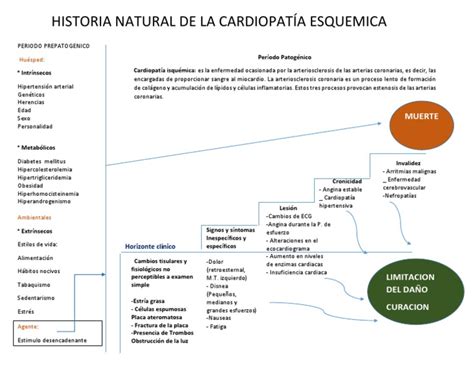 Historia Natural De La Cardiopatía Esquemica Pdf Angina De Pecho