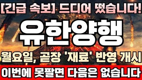 유한양행 주가전망 긴급 역대급 실적 발표 임박 분기 사상 최대치 전망 국내 전통제약사 최초로 연매출 2조원 돌파 유력 52주 신고가 또 간다 유한양행