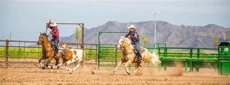 Roping And Rodeo Equipment — Ranch Works Inc