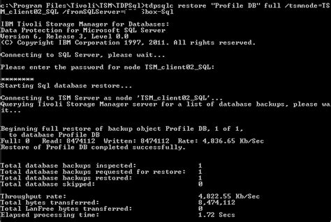 Tsm 6 3 Restore Sql Database Jackie Chens It Workshop