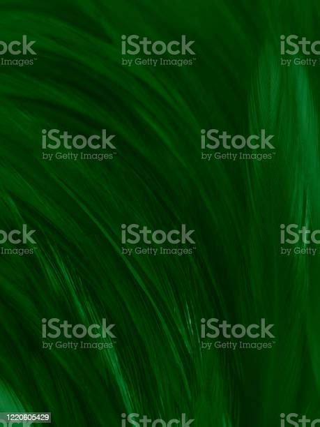 흰색 배경에 아름다운 추상적 인 흰색과 녹색 깃털과 흰색 패턴과 녹색 배경에 부드러운 흰색 깃털 질감 깃털 배경 녹색 배너 그런지 이미지 기법에 대한 스톡 사진 및 기타