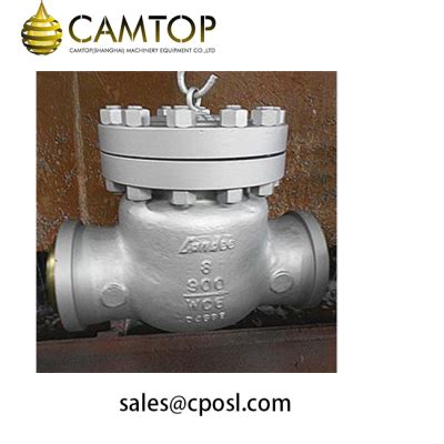 In Lined Flapper Check Valve Dart Check Valve Top Entry Check Valve CAMTOP SHANGHAI