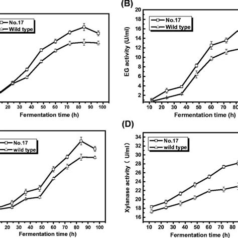Cellulase And Xylanase Production In The Fermentation Process The