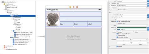 Ios Uistackview Change Uistackview Image Width Using Storyboard Stack Overflow