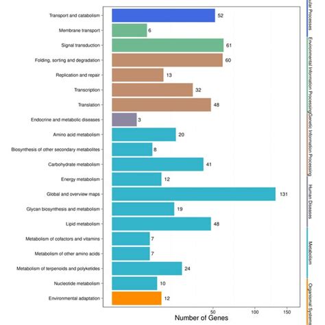 Go Classifications In The Ic 1 Vs Is 4 Combination Download