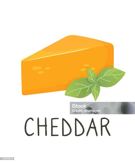 바질을 곁들인 체다 치즈 슬라이스 유기농 농장 식품 디자인 요소 로고 포스터 메뉴에 대한 만화 평면 그림 흰색 배경에 고립되어 있습니다 건강한 식생활에 대한 스톡 벡터 아트