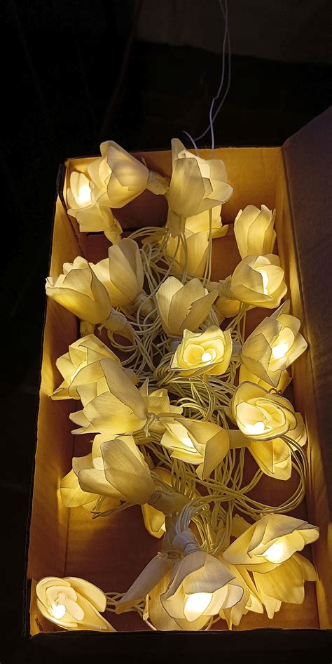 Shola String Light Add A Warm And Cozy Ambience To Your Space