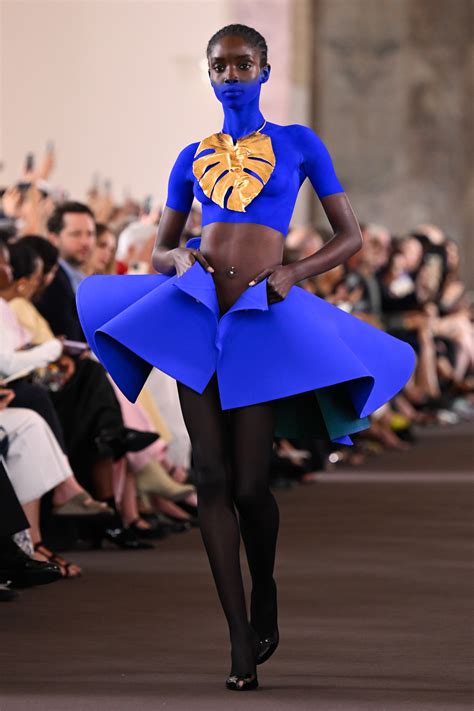 Schiaparelli Couture Fall 2023 Photo