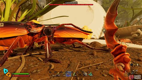 Cockroach Nymph Grounded 2 Database Gamer Guides®