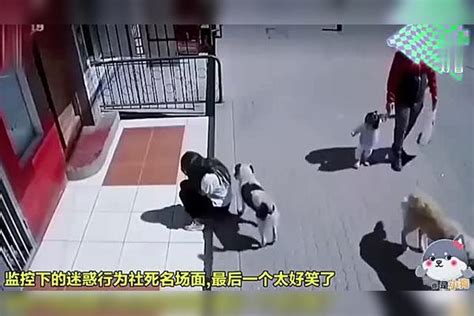 监控下的出糗瞬间美少妇尴尬到无地自容建议换个星球生活 少妇 瞬间 星球