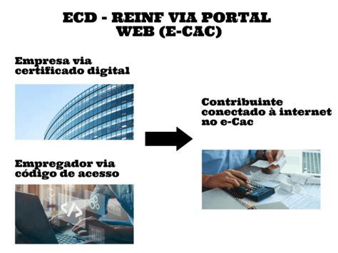 O Que é A Efd Reinf