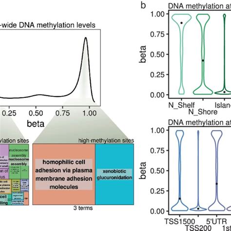 A Density Plot Showing Dna Methylation β Values From All Of The Cpg