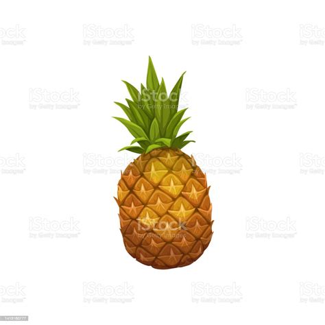 Pineapple Fruit Vector Fresh Tropical Plant Stock Illustration Download Image Now Pineapple