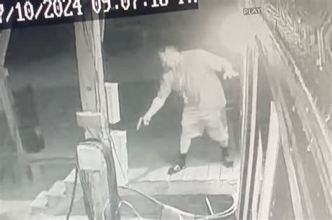 Landlord Accused Of Killing Tenants Cat While Theyre On Beach