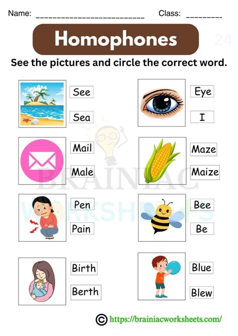 Homophones Class 2 English Worksheet Brainiac Worksheets