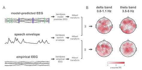 Investigating Neural Speech Tracking Using Model Predicted Eeg A