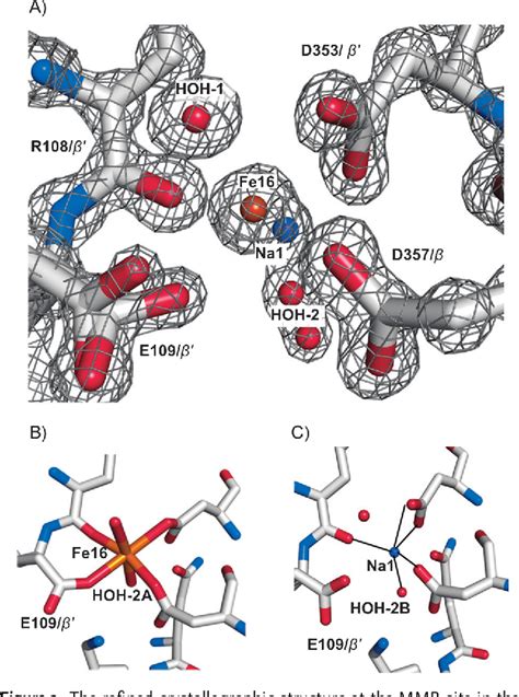 Figure 3 From The Sixteenth Iron In The Nitrogenase Mofe Protein Semantic Scholar