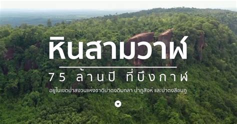 [เที่ยวบึงกาฬ Buengkantravel] ฝูงครอบครัววาฬ พ่อวาฬ แม่วาฬ และลูกวาฬ 🐳 หินสามวาฬ ‼️ จุดชม