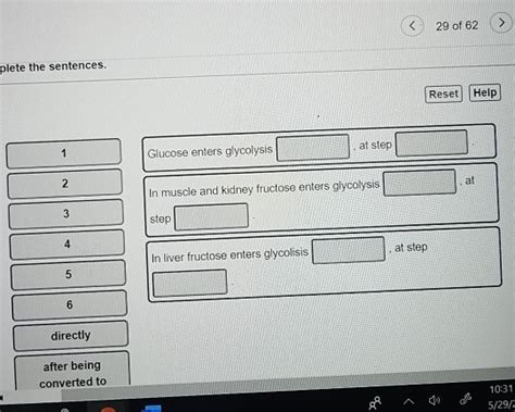 Solved What Is The Effect Of A Defective Debranching Enzyme