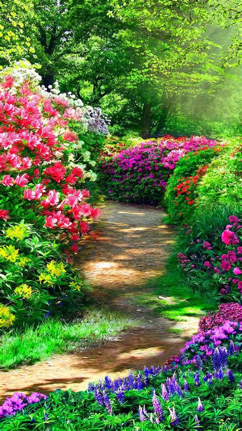 Garden Mobile Wallpapers Wallpaper Cave