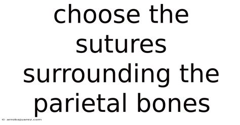 Choose The Sutures Surrounding The Parietal Bones