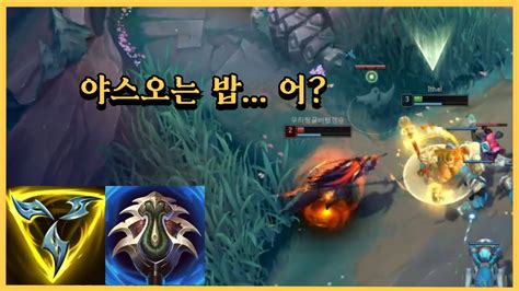 원숭이도 나무에서 떨어진다 Youtube