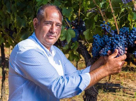 Stabilità Politica Per Il Comparto Vino Pilastro Delleconomia