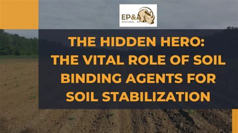 Ppt The Hidden Hero The Vital Role Of Soil Binding Agents For Soil