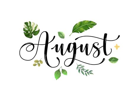 Premium Vector Hand Drawn August Month Lettering Typography For Cover