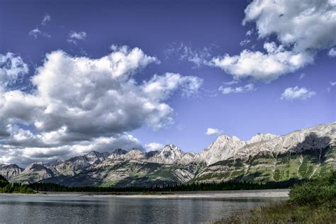 Originals Coming Soon Scott Siebert Artwork