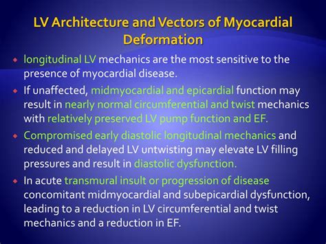 Ppt Lv Architecture And Vectors Of Myocardial Deformation Powerpoint Presentation Id4942583