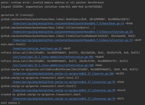 Panic When I Trying To Use Gocron Pocketbase Pocketbase Discussion GitHub