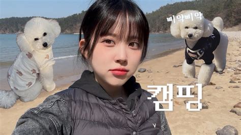 강아지와 태안 캠핑 브이로그 Youtube