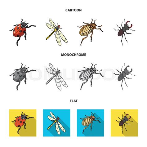 Arthropod Vector At Collection Of Arthropod Vector