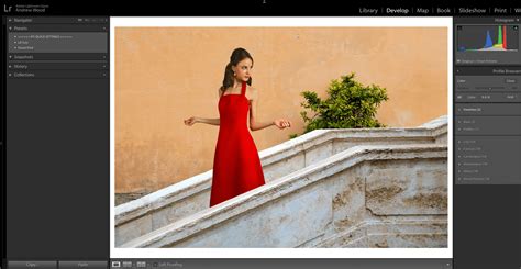 Installing Presets And Profiles In Lightroom Classic Imagepunk