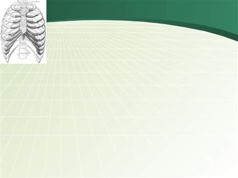 Презентация на тему ФЕДЕРАЛЬНОЕ ГОСУДАРСТВЕННОЕ КАЗЁННОЕ УЧРЕЖДЕНИЕ «1469 ВОЕННО МОРСКОЙ