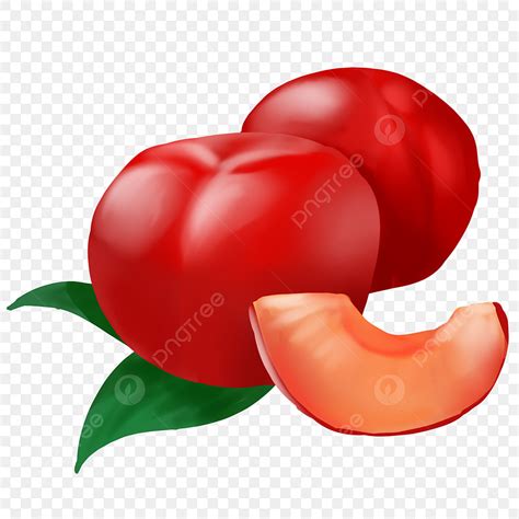 여름 일러스트 과일 붉은 자두 신선한 과일 매화 일러스트 Png 일러스트 및 Psd 이미지 무료 다운로드 Pngtree